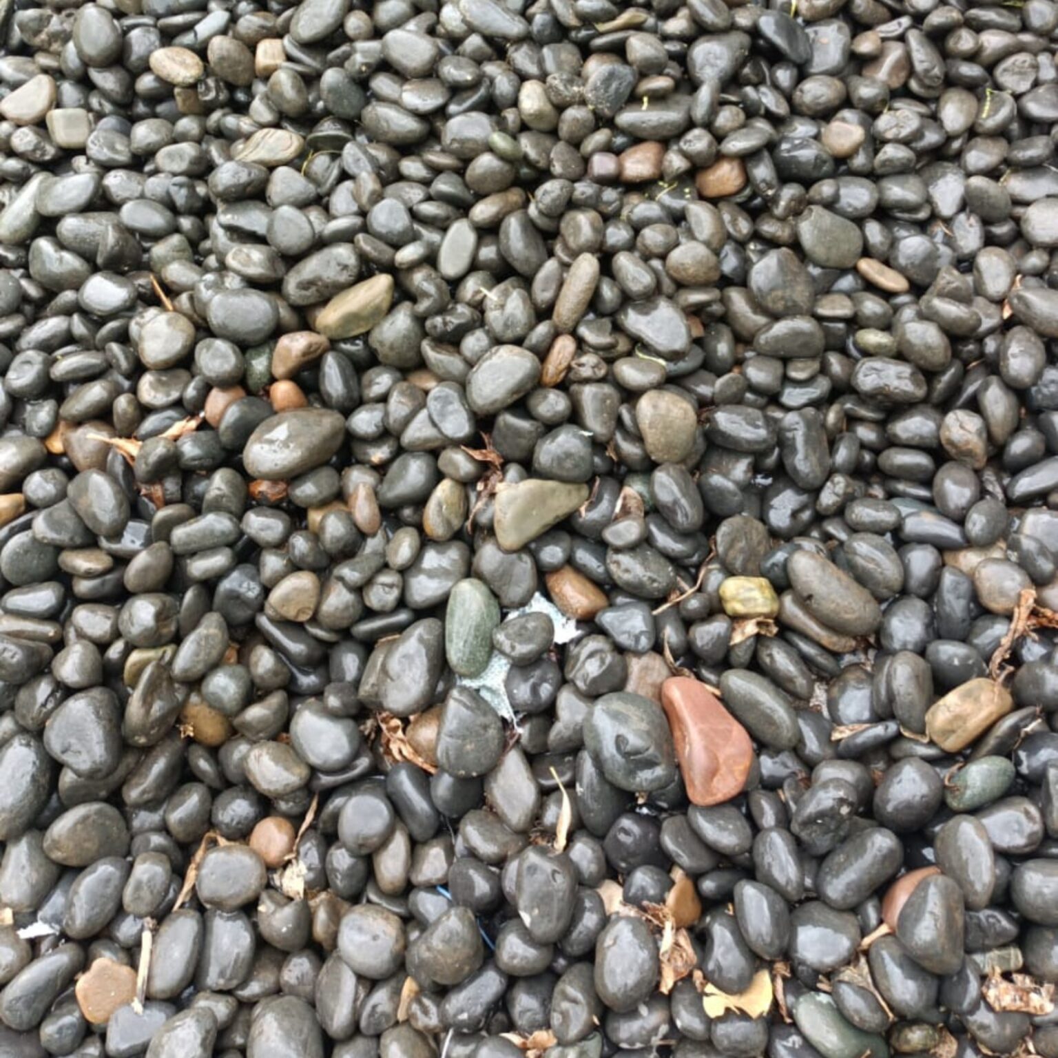No.1 Stone & Rock Pebbles Distributor in Karnataka, Tamil Nadu & Kerala